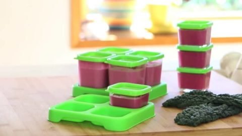 How Do You Store Pureed Baby Food? (Solved & Explained) - Container FAQs