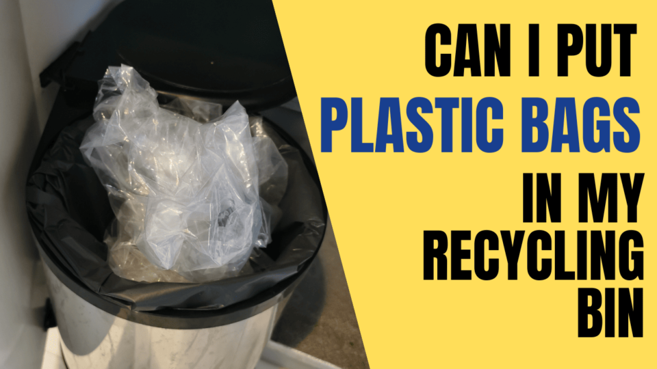 Can I Put Plastic Bags in My Recycling Bin? (Answered) – Container FAQs
