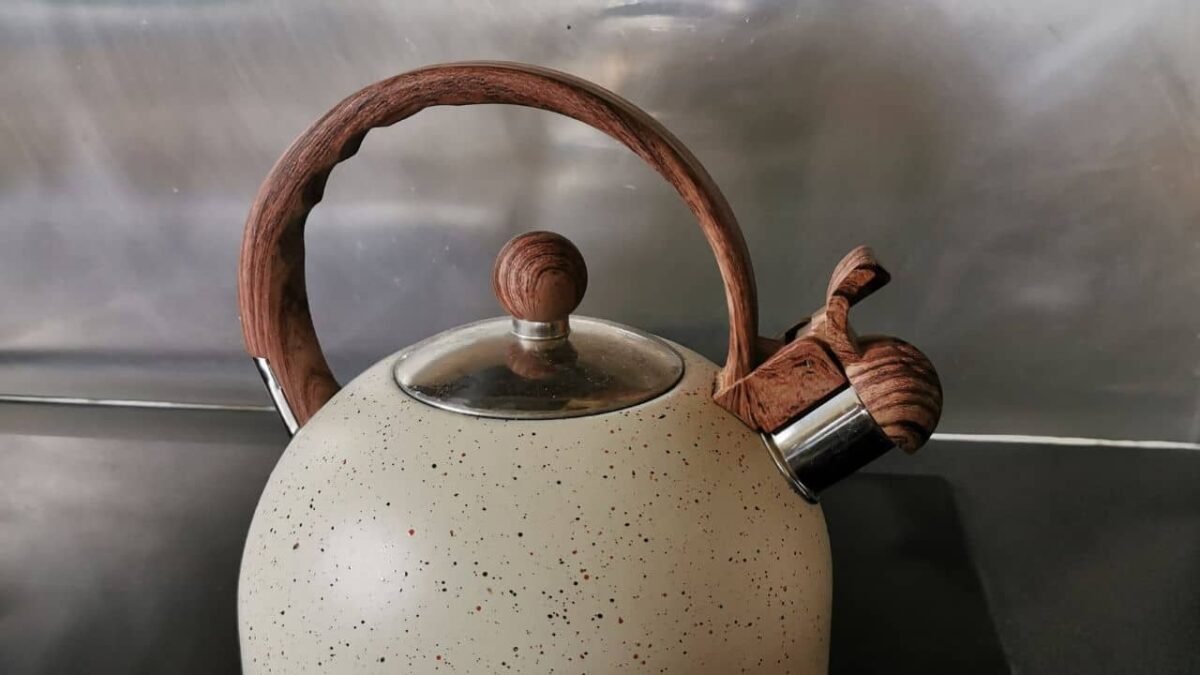 What Causes A Tea Kettle To Whistle Step By Step With Diagram